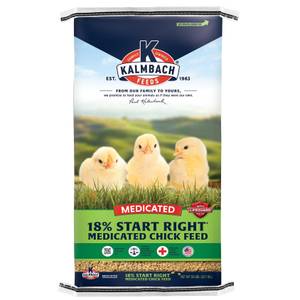 How to Care for Baby Chicks | Blain's Farm & Fleet Blog