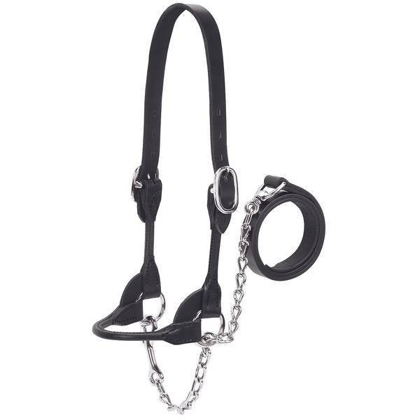 Weaver Leather Black Rounded Show Halter - 80400-60-00 | Blain's Farm ...