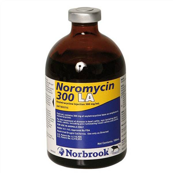 Norbrook Noromycin 300 LA - 14515541 | Blain's Farm & Fleet