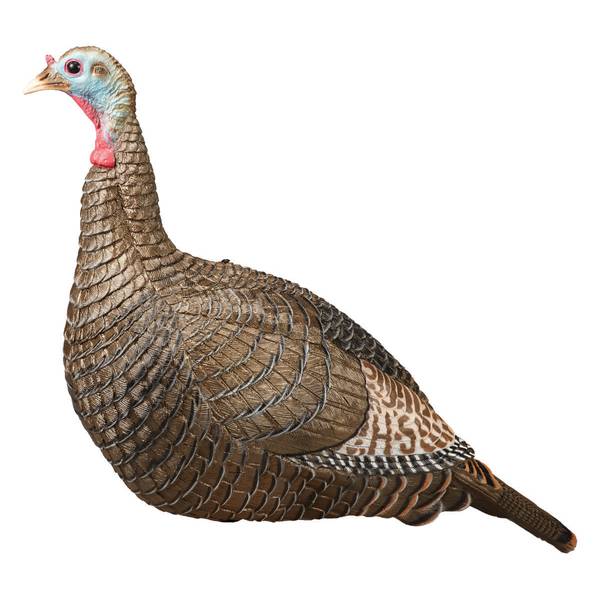 Hunter's Specialties Strut-Lite Hen Decoy - HS-STR-100001 | Blain's ...