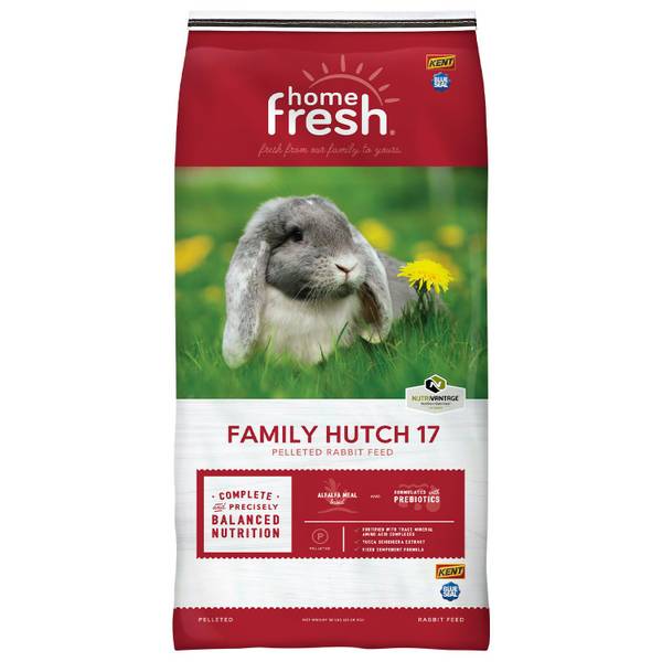 Kent 50 lb Rabbit Ration - 6526 | Blain's Farm & Fleet
