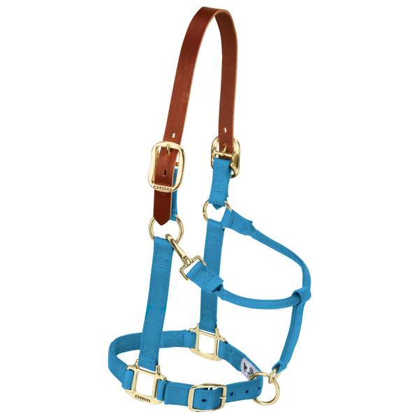 Weaver Leather 3/4" Weanling/Pony Breakaway Original Adjustable Chin and Throat Snap Halter ...