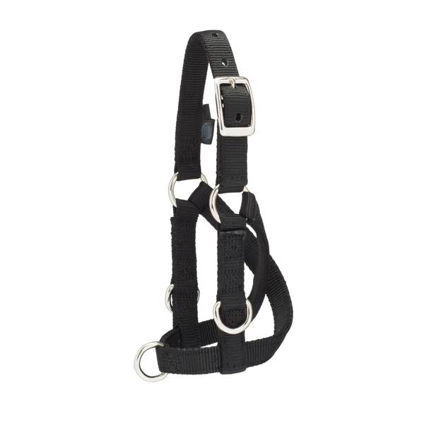 Weaver Livestock Sheep & Goat Training Halter, Black, Small - 35-7130 ...