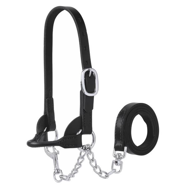 Weaver Livestock Bucket Calf Halter - 90-0507 | Blain's Farm & Fleet
