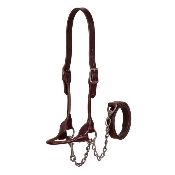 Weaver Livestock Show Halter, Brown, Large - 80402-60 | Blain's Farm ...