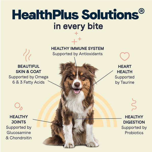 Canidae All Life Stages