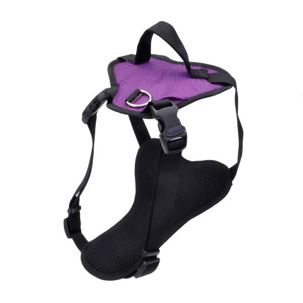 Inspire 5/8" x 16-24" Small Purple Adjustable Dog Harness with Handle ...