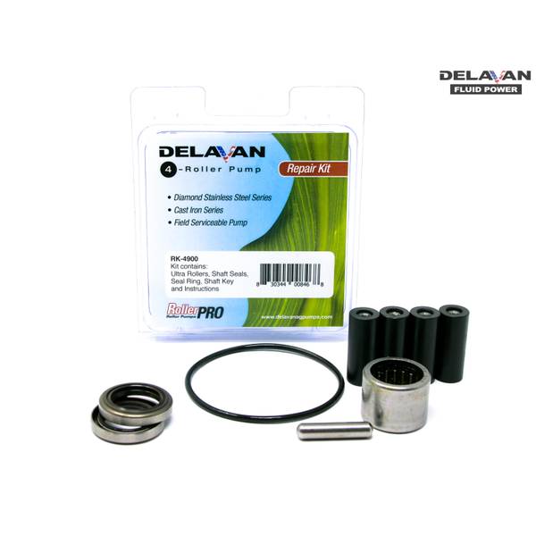 Delavan Roller Pump Repair Kit - RK-4900 | Blain's Farm & Fleet