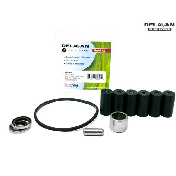 Delavan Roller Pump Repair Kit - RK-6900 | Blain's Farm & Fleet