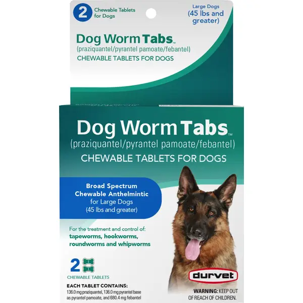Praziquantel For Dogs