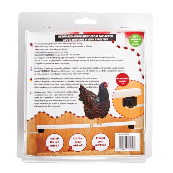 Chicken Mites Rash Poultry Red Mites MSD Animal Health Republic Of