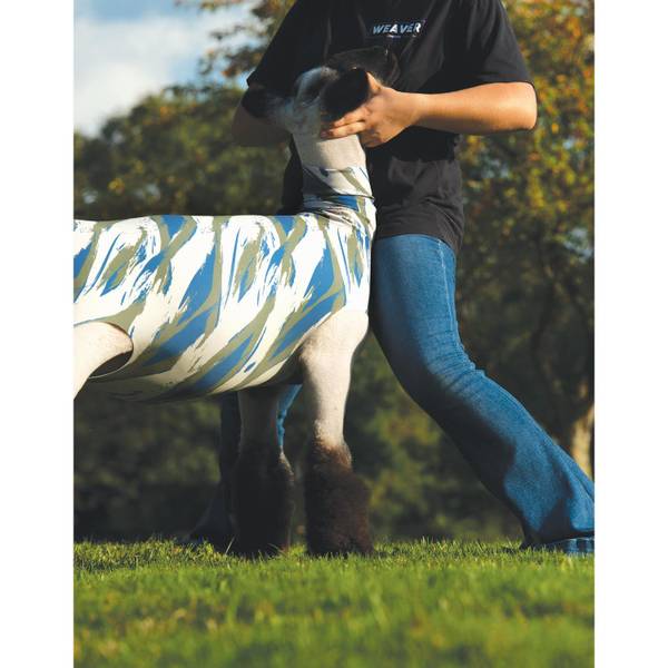 Weaver Leather Medium Livestock Spandex Sheep Tube - 37510-50-626 ...