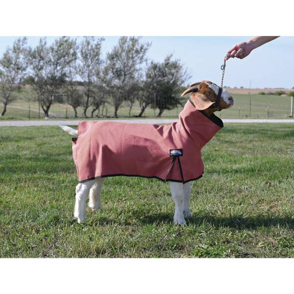 Weaver Leather Goat Blanket - 35-3541-510 | Blain's Farm & Fleet