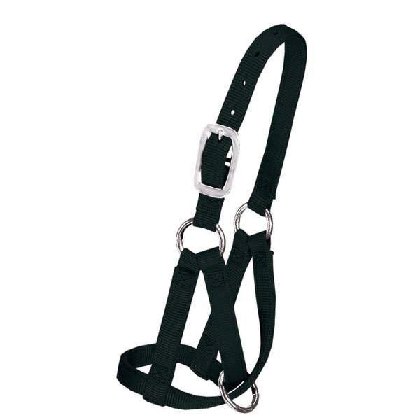 Weaver Leather Llama Halter - 35-7086-BK | Blain's Farm & Fleet