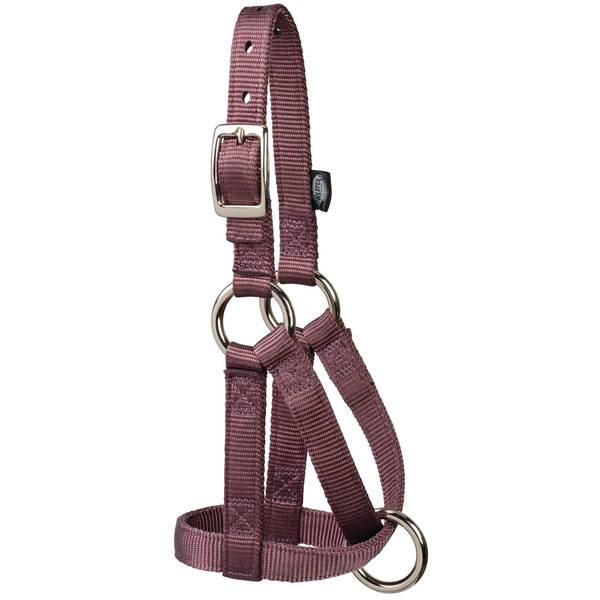 Weaver Leather Large Nylon Goat Halter - 35-7102-510 | Blain's Farm & Fleet