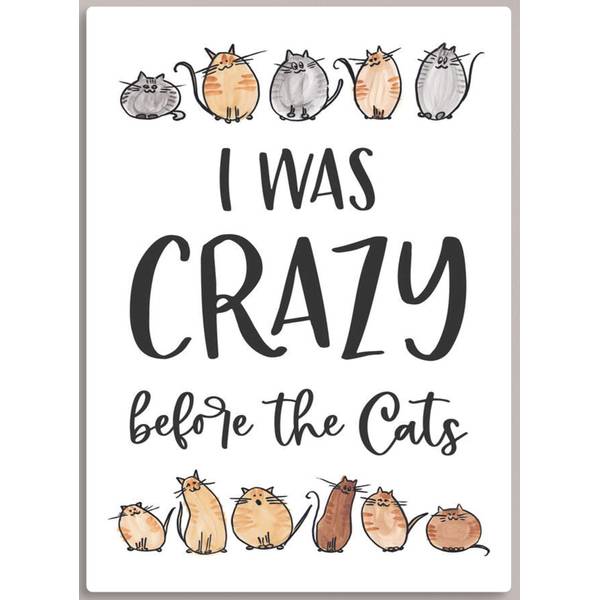 P. Graham Dunn I Was Crazy Metal Sign - Q02233BLN | Blain's Farm & Fleet