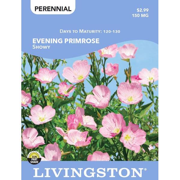 Livingston Seed Evening Primrose - Y3115A | Blain's Farm & Fleet