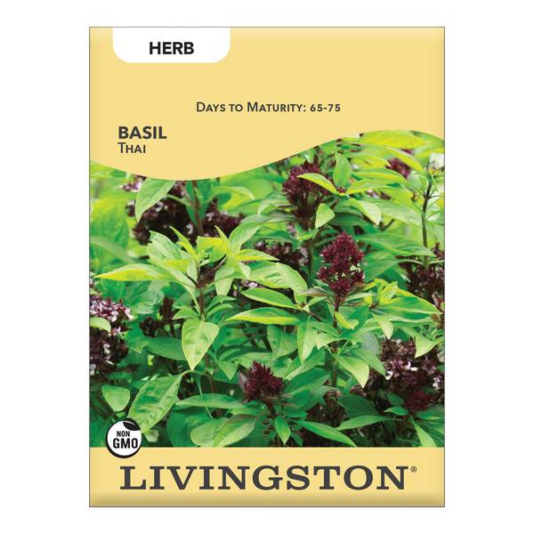 Livingston Seed Thai Basil - Y6540A | Blain's Farm & Fleet