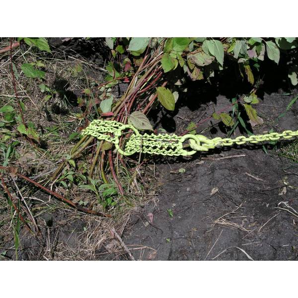 Brush Grubber Shrub/Clump Puller - BG-16 | Blain's Farm & Fleet
