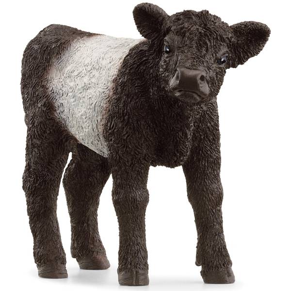 Schleich Galloway Calf - 13969 | Blain's Farm & Fleet
