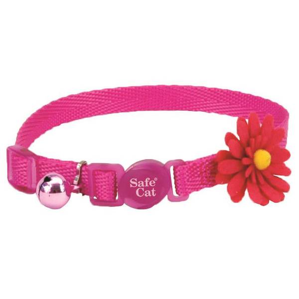 Coastal Pet 3/8" x 8-12" Safe Cat Embellished Fashion Collar - 06706 ...