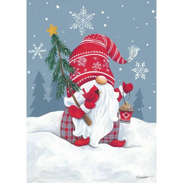 LPG Greetings 16-Count Winter Gnome Boxed Holiday Cards - 05377 | Blain ...