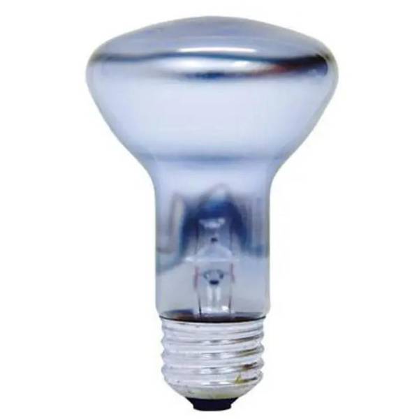 GE 45-Watt Reveal Indoor Reflector R20 Soft White Bulb - 93131097 ...