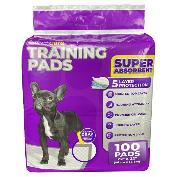 Multipet Care 100-Count 22" x 22" Training Pads - 68671 | Blain's Farm ...