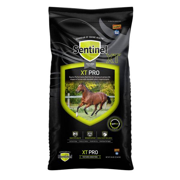 Sentinel 50 lb Blue Seal Sentinel XT Pro Textured Horse Feed - 7201 ...