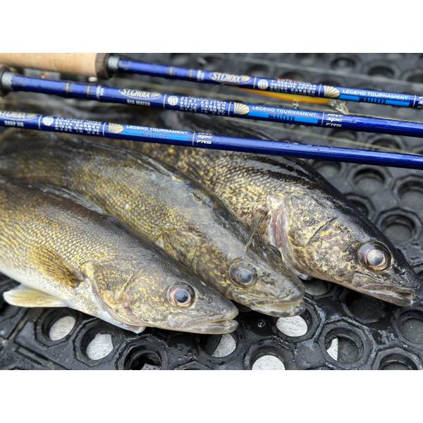 St. Croix Rods 2-Piece 8' MLF Legend Tournament Walleye Spin Rod ...