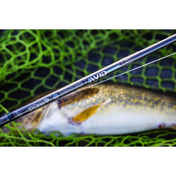 St. Croix Rods 7' MM Avid Series Walleye Spin Rod - ASWS70MM | Blain's ...