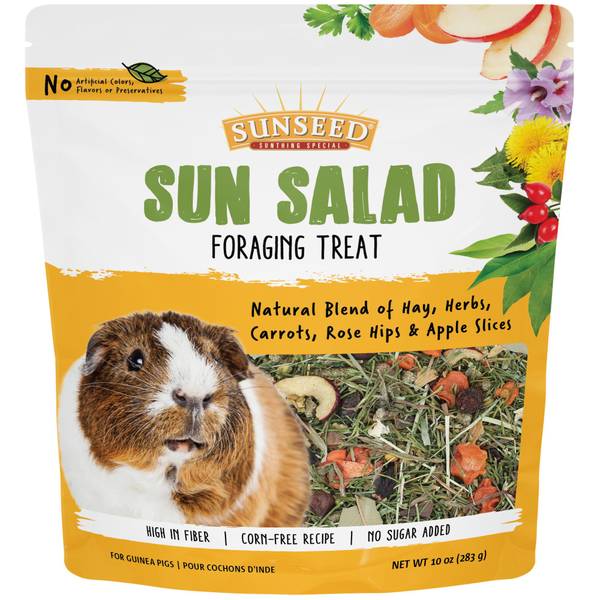 Sunseed 10 oz Sun Salad Guinea Pig Treat - SUN36066 | Blain's Farm & Fleet