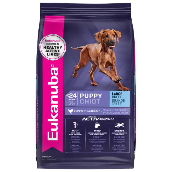 Eukanuba 40 lb Puppy Large Breed Dry Dog Food - EUK40203 | Blain's Farm ...