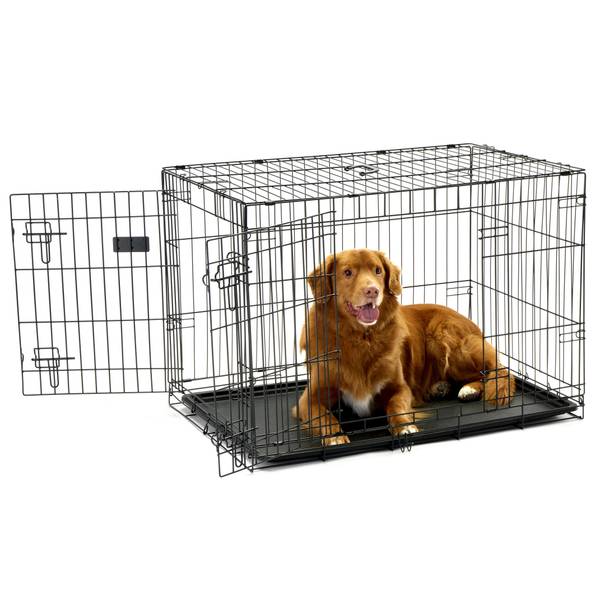 Carlson Pet Products Double Door Wire Crate, Intermediate - 6023 ...