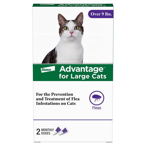 Elanco Advantage Topical Cat Flea Treatment and Prevention For Large ...