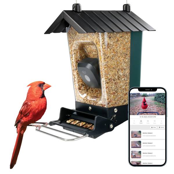 Perky-Pet 3.5 lb Smart Camera Squirrel-Resistant Feeder - SPCAM | Blain ...