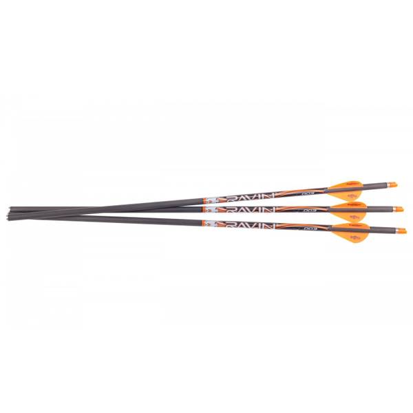 Ravin Match Weight Lighted Arrows 400Gr .003 3PK - R133 | Blain's Farm ...