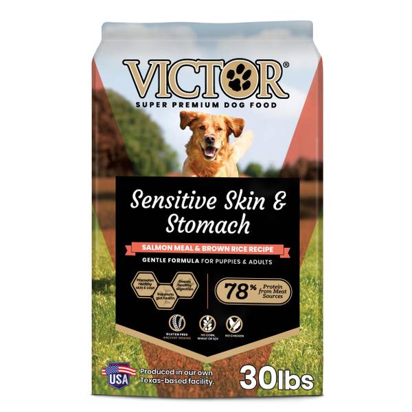Victor Salmon Meal and Brown Rice Recipe Sensitive Skin and Stomach Dry ...