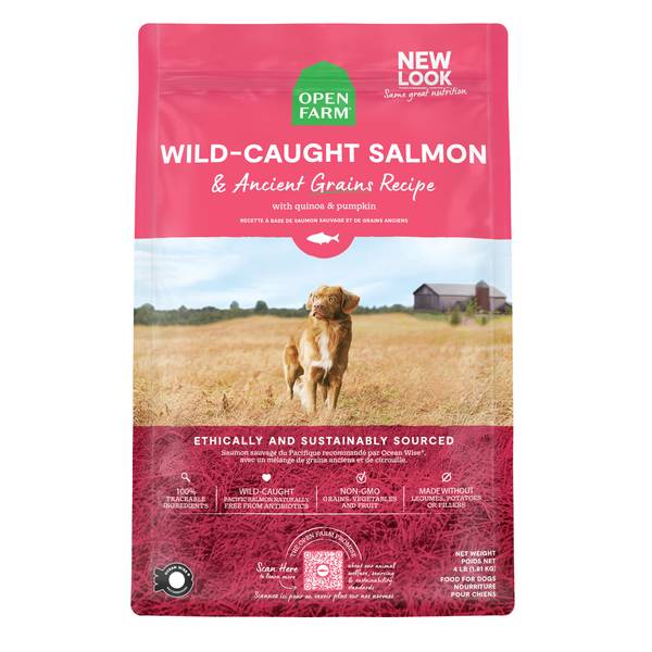 Open Farm 4 lb Wild-Caught Salmon & Ancient Grains Kibble Dog Food ...
