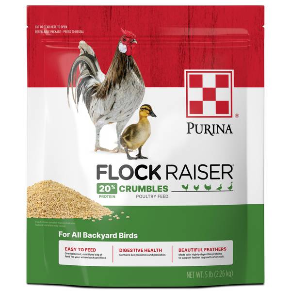 Purina Animal Nutrition 5lb Flock Raiser Crumbles - 3003980-346 | Blain ...