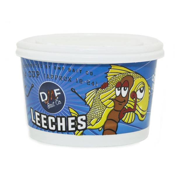 DMF Bait 18-24 Count Live Leeches - LE25-01 | Blain's Farm & Fleet
