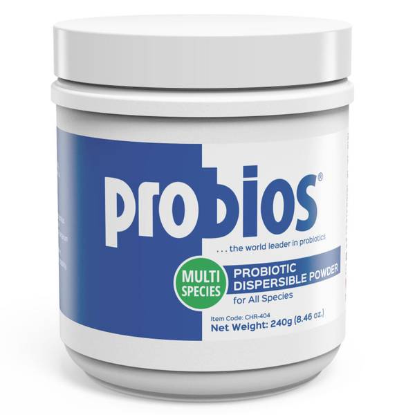 Probios Dispersible Powder Probiotic Supplement 240gm - CHR-404 | Blain ...