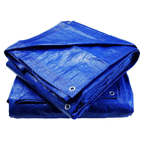 Agrimaster 8' x 10' & 12' x 16' All Purpose Blue Poly Tarp Combo Pack ...