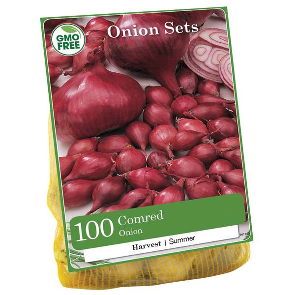 Longfield Gardens Red Comred Onion Bulbs - 62202002 | Blain's Farm & Fleet
